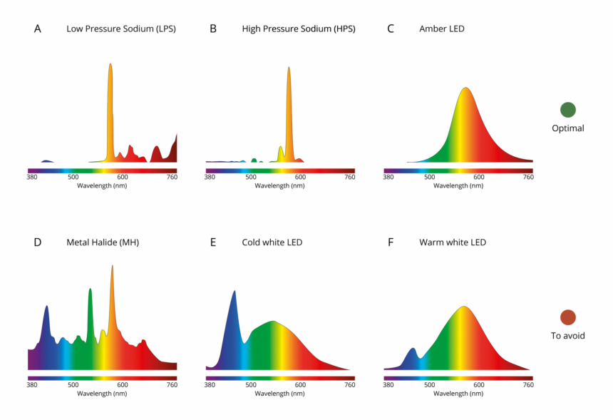 5.6.1. Lighting - Biodiversity & infrastructure handbook
