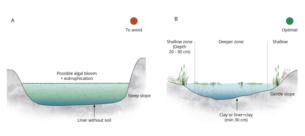 biodiversity_infrastructure_handbook_5_7_12_retention_pond_design
