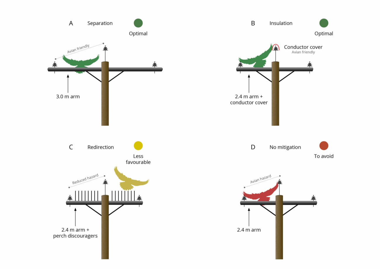 biodiversity_infrastructure_handbook_5_10_9_powerlines_electrocution ...