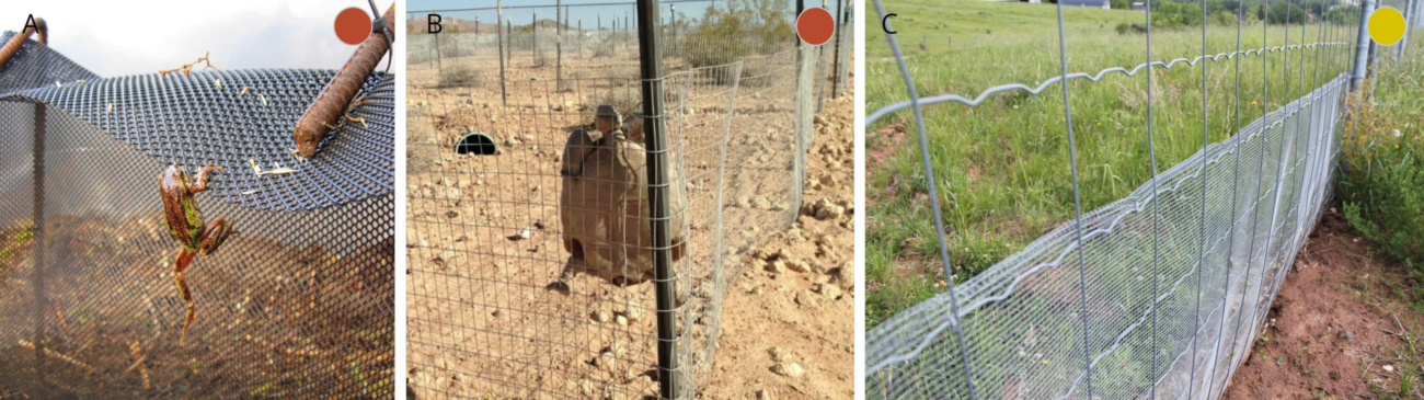 5.2.4. Fencing and reinforcements for small vertebrates - Biodiversity ...