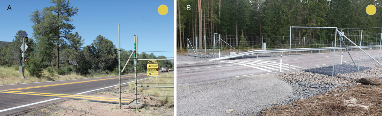 5.5.13. At grade fauna passages (level crossing) - Biodiversity ...