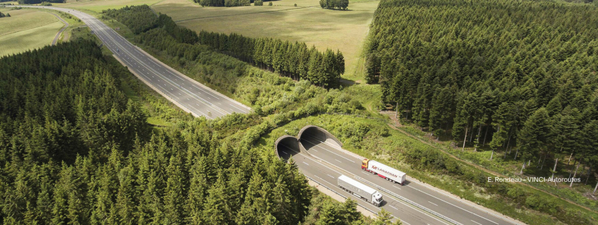 Biodiversity & infrastructure handbook