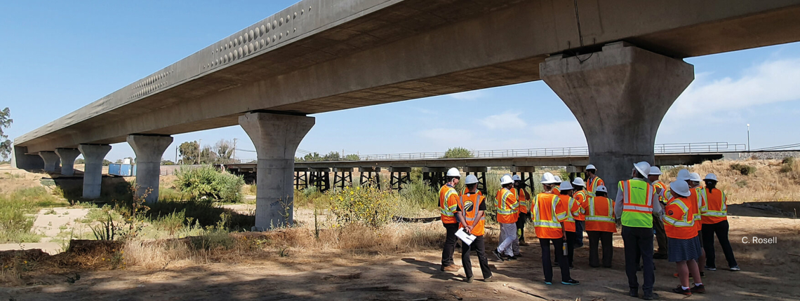 Biodiversity & Infrastructure Handbook
