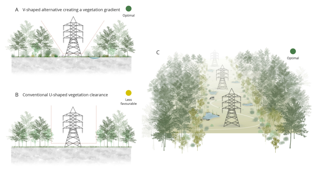5.7.1. Verges and other green areas - Biodiversity & infrastructure ...