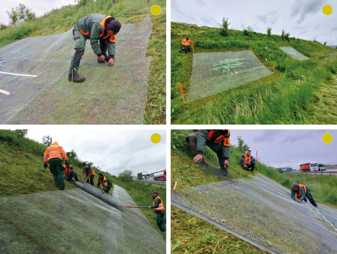 5.8.2. Control measures - Biodiversity & infrastructure handbook